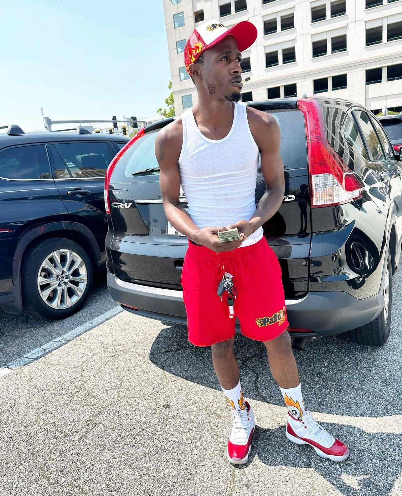 Products – Palidori